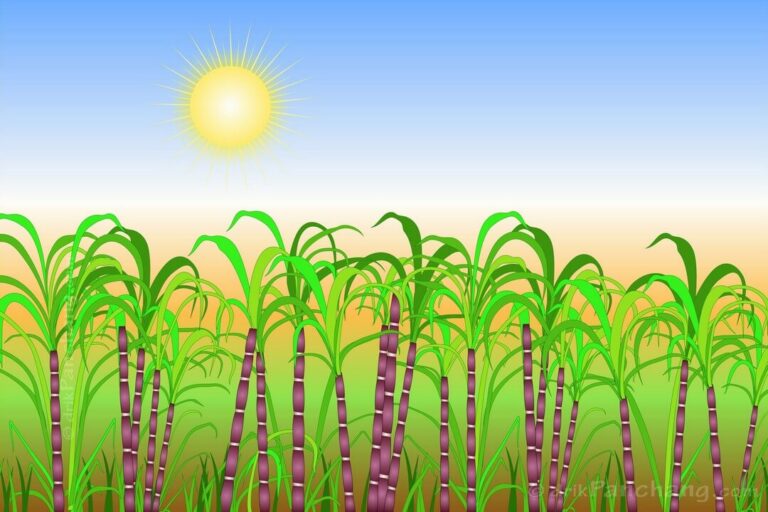 Astrology: Celebrating Mesha Sankranti in 2026 - Astha Guru